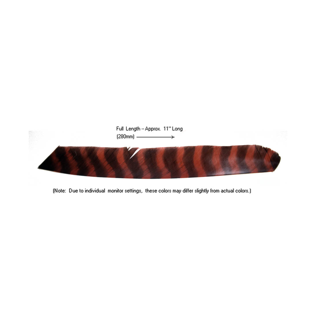 Trueflight Full Length Feathers - Barred – KG Archery Ltd.